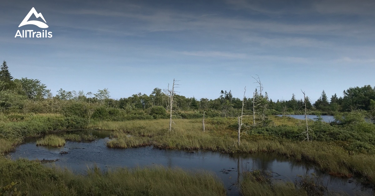 Best Trails in Bog Brook Cove Preserve - Maine | AllTrails