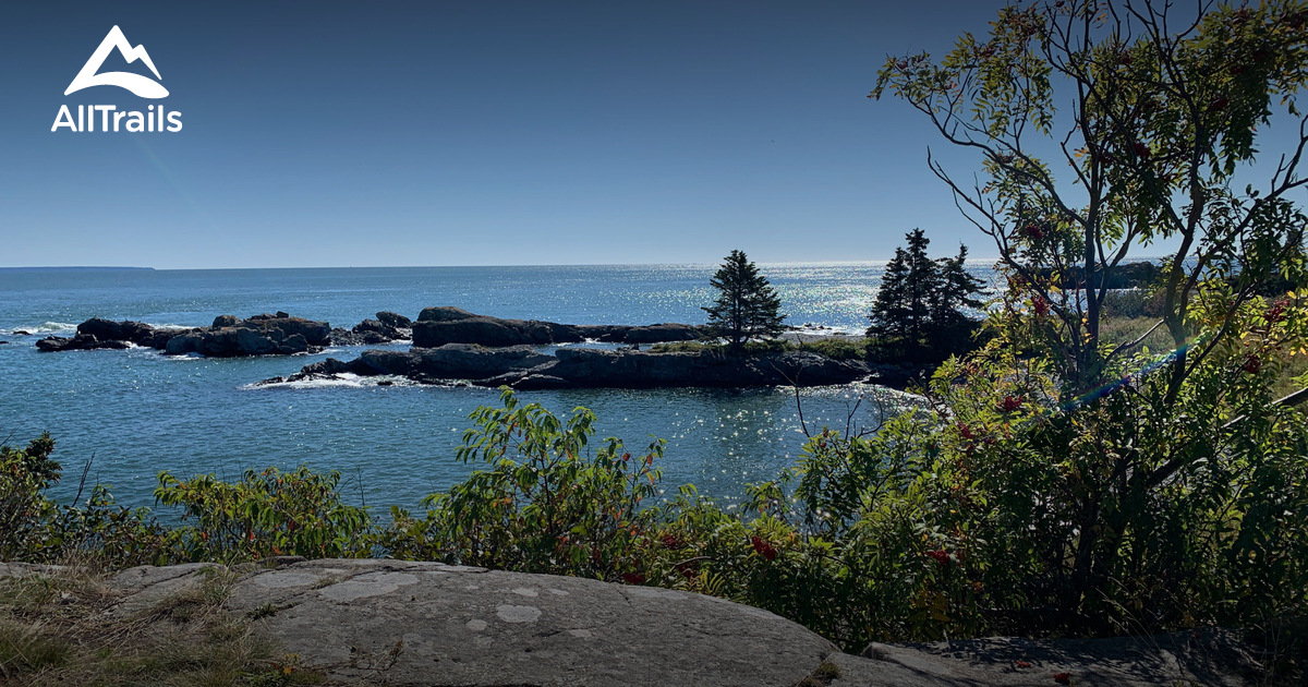 Best Trails in Bog Brook Cove Preserve - Maine | AllTrails