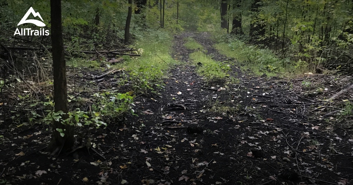 Best trails in Billy Wilson Park , New York | AllTrails