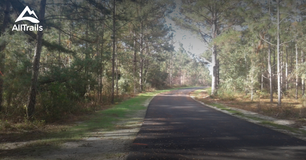 Best Trails in Marjorie Harris Carr Cross Florida Greenway - Florida ...