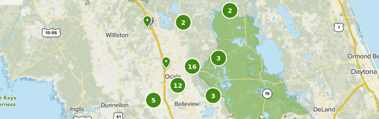 Best Trails in Marjorie Harris Carr Cross Florida Greenway - Florida ...