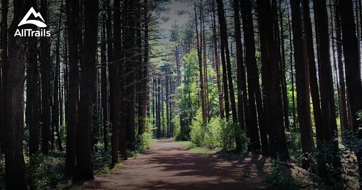 Best Trails in Reading Town Forest - Massachusetts | AllTrails