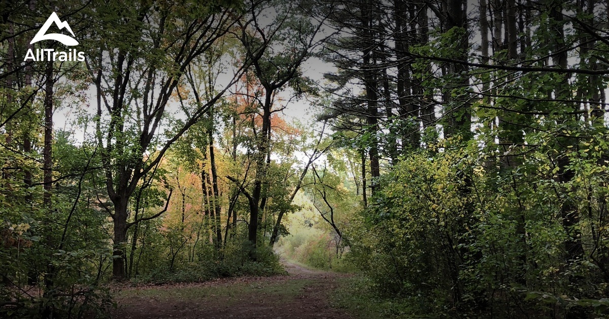 Best hikes and trails in Reading Town Forest | AllTrails