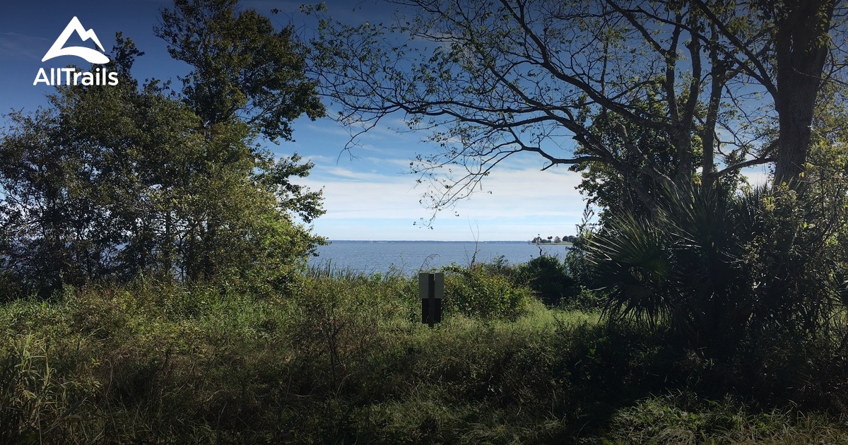 Best hikes and trails in Ferndale Preserve | AllTrails