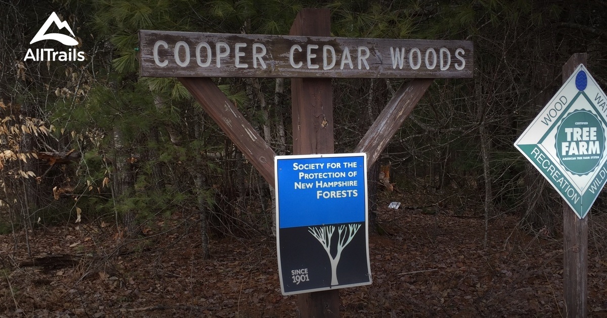 Best hikes and trails in Cooper Cedar Woods | AllTrails