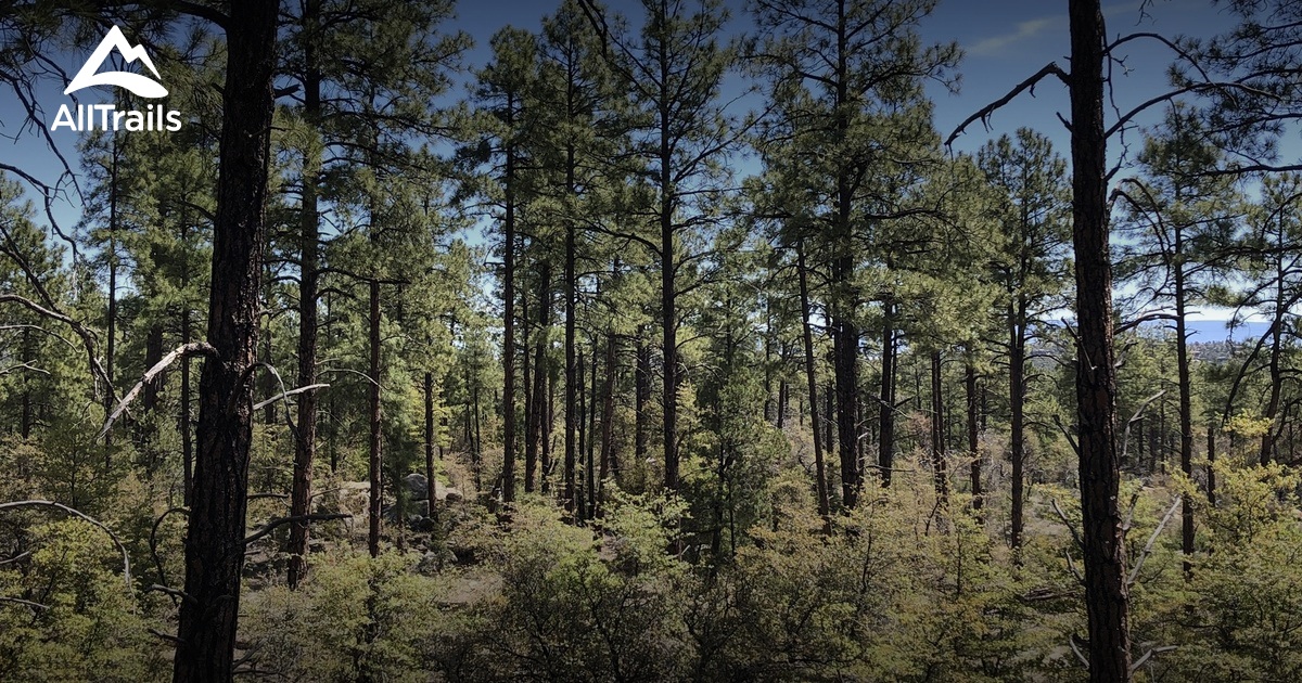 I migliori sentieri per passeggiate in Spence Basin Mountain Bike Park ...