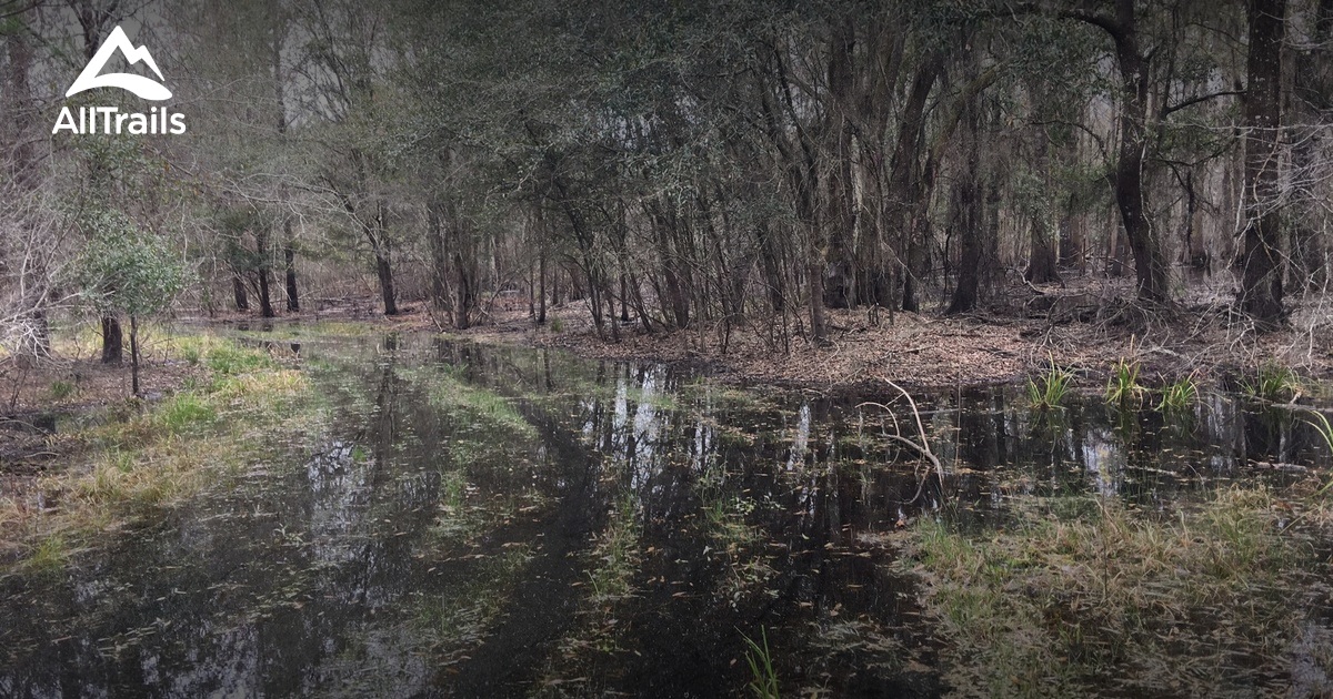 Best hikes and trails in Newnans Lake Conservation Area | AllTrails