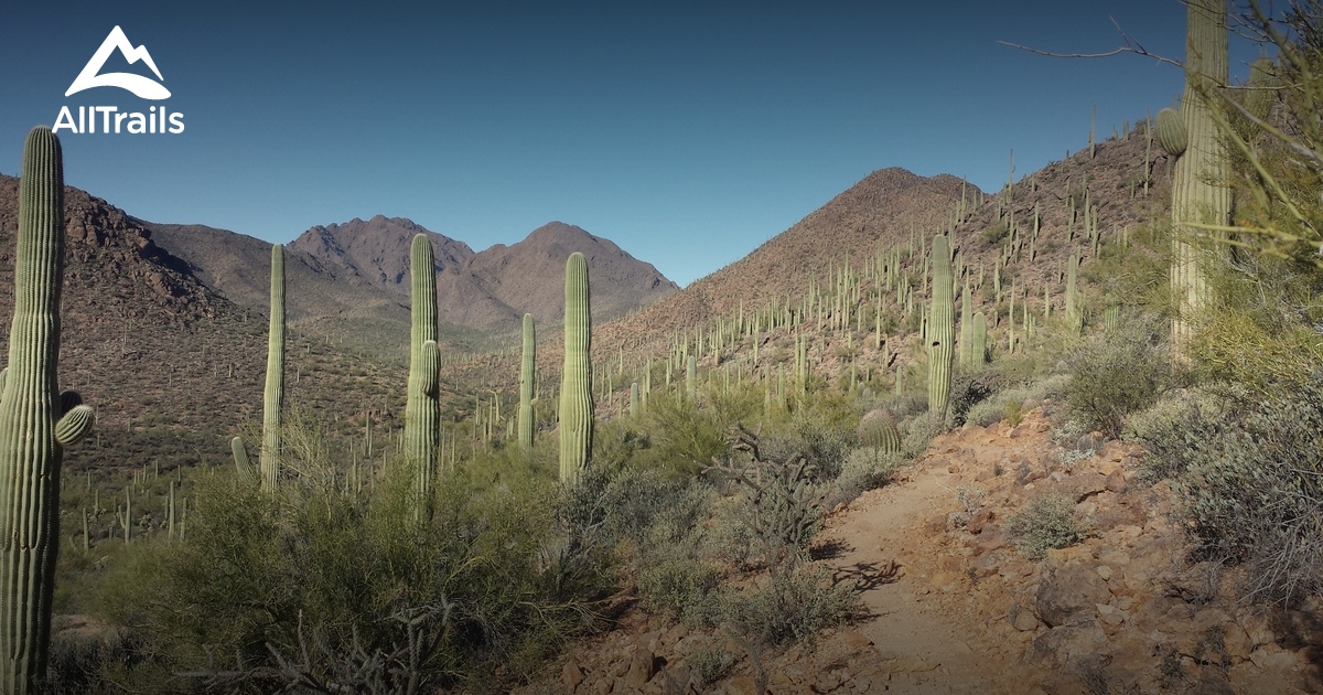 Best Trails in Tucson Mountain Park - Arizona | AllTrails