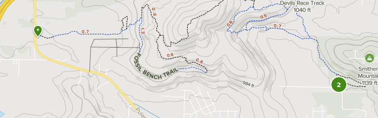 Best Trails in Wade Mountain Nature Preserve - Alabama | AllTrails