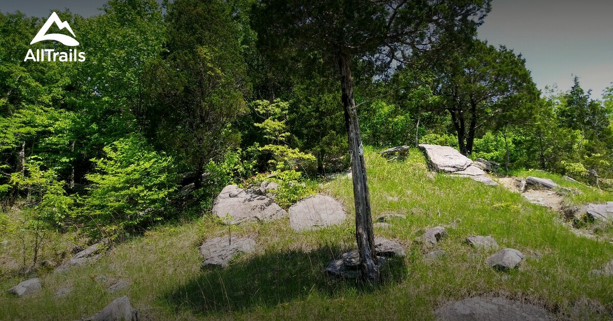 Best hikes and trails in Wade Mountain Nature Preserve | AllTrails