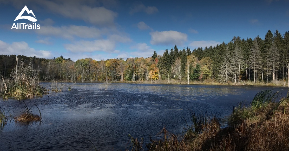 Best hikes and trails in Charleston State Forest | AllTrails