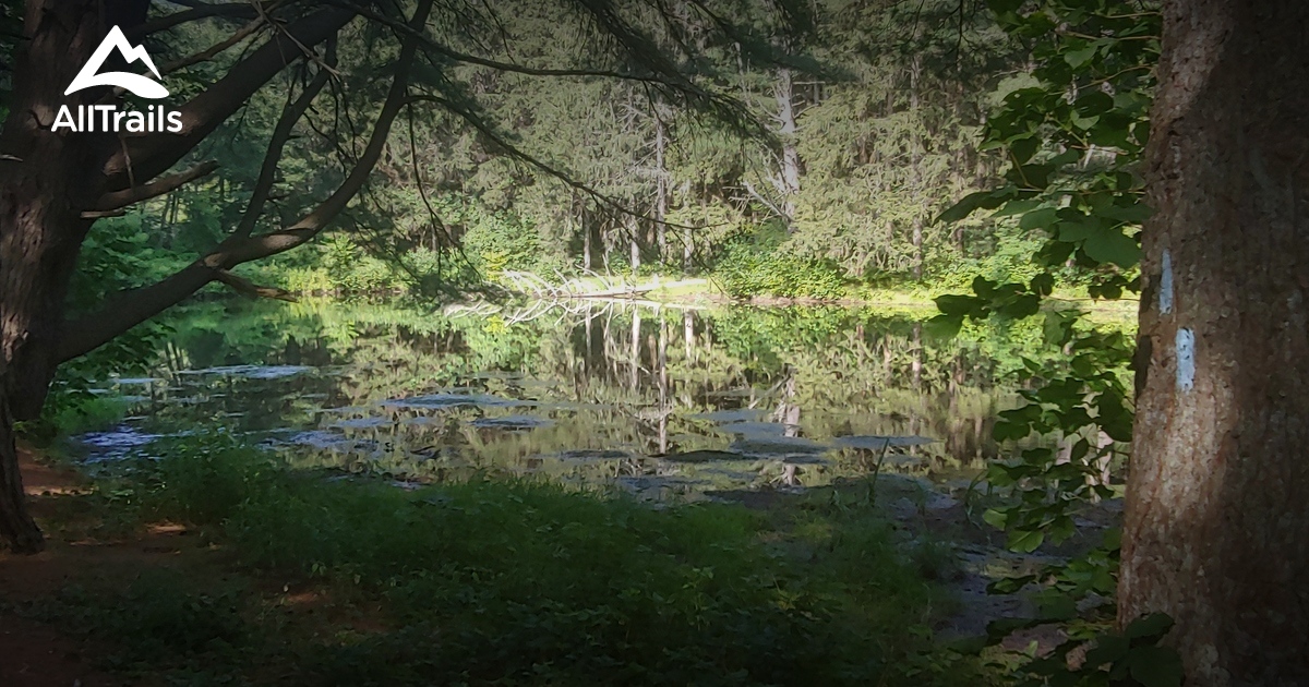 Best hikes and trails in Belding Wildlife Management Area | AllTrails