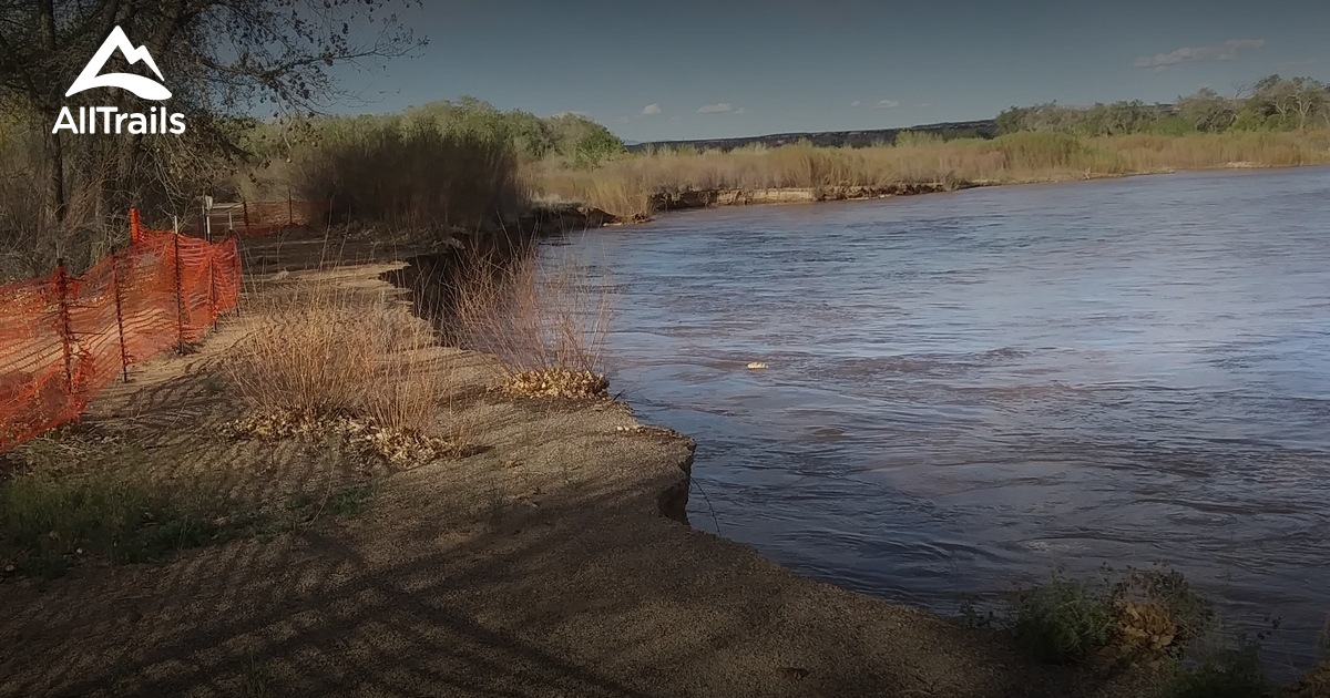 Best hikes and trails in Rio Rancho Bosque Nature Preserve | AllTrails