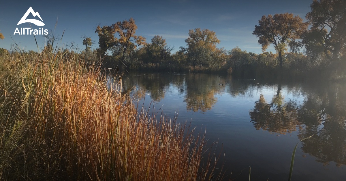 Best Trails in Rio Grande Bosque - New Mexico | AllTrails