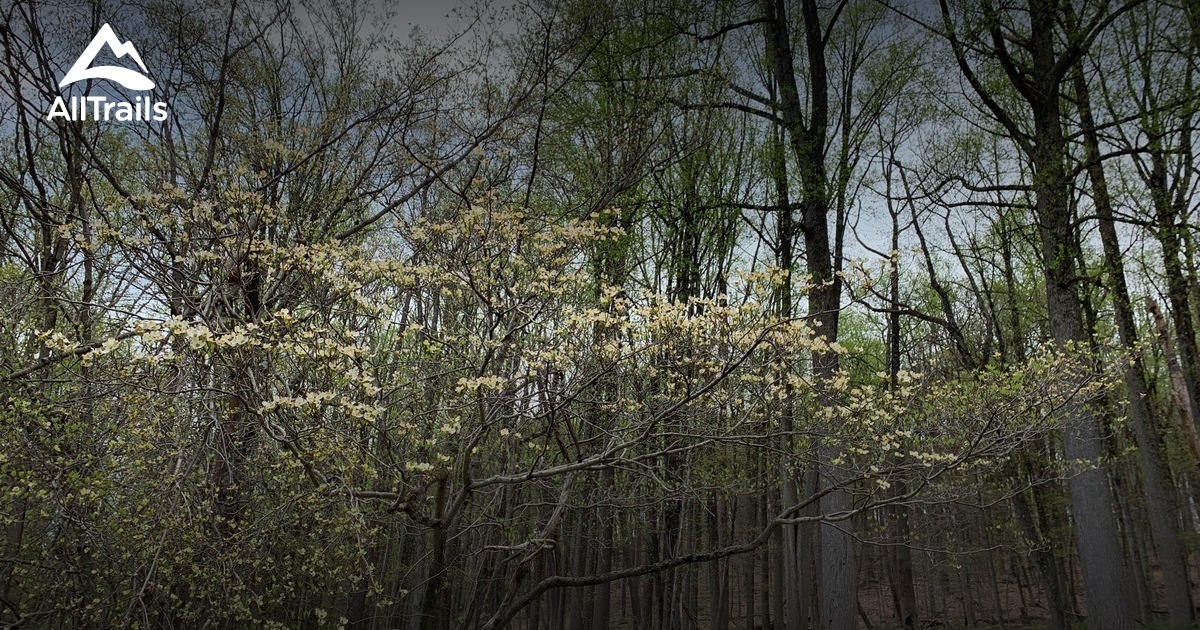 Die Besten Kurzen Routen in Sherman Hoffman Wildlife Sanctuary | AllTrails