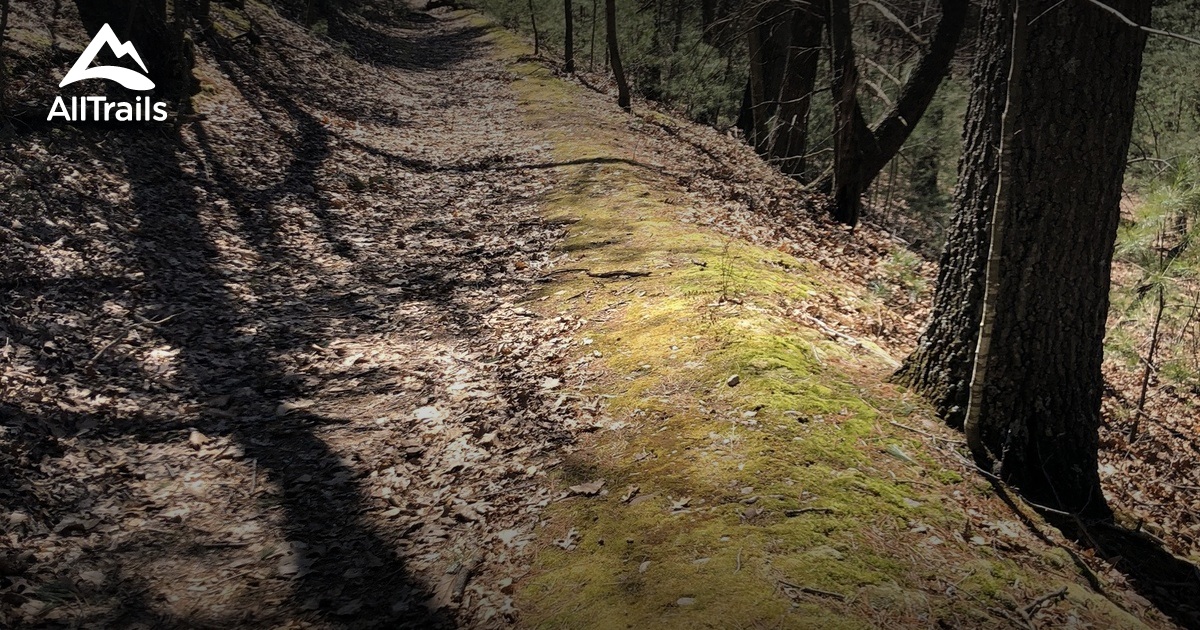 Best hikes and trails in Shoddy Mill-Coon Hollow | AllTrails