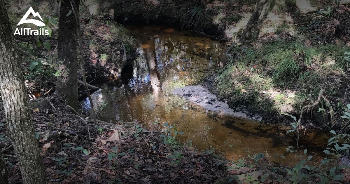 Best trails in Santa Fe River Preserve, Florida | AllTrails