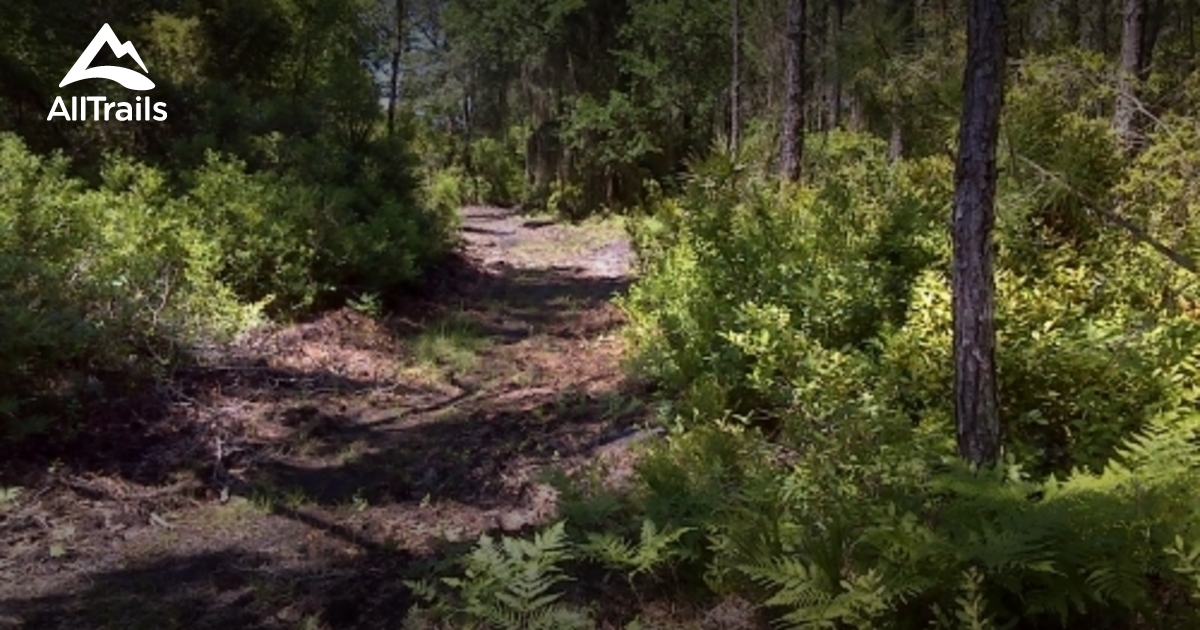 Best Trails in Betz-Tiger Point Preserve - Florida | AllTrails