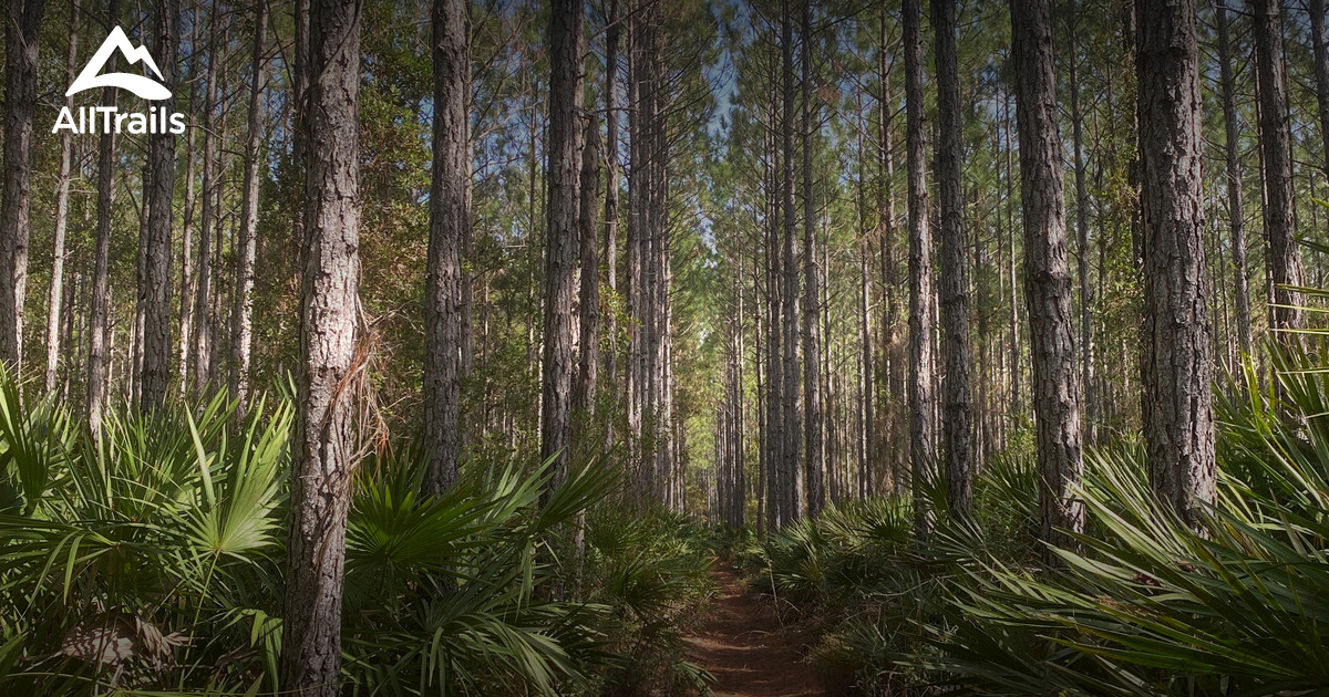 Best hikes and trails in Betz-Tiger Point Preserve | AllTrails