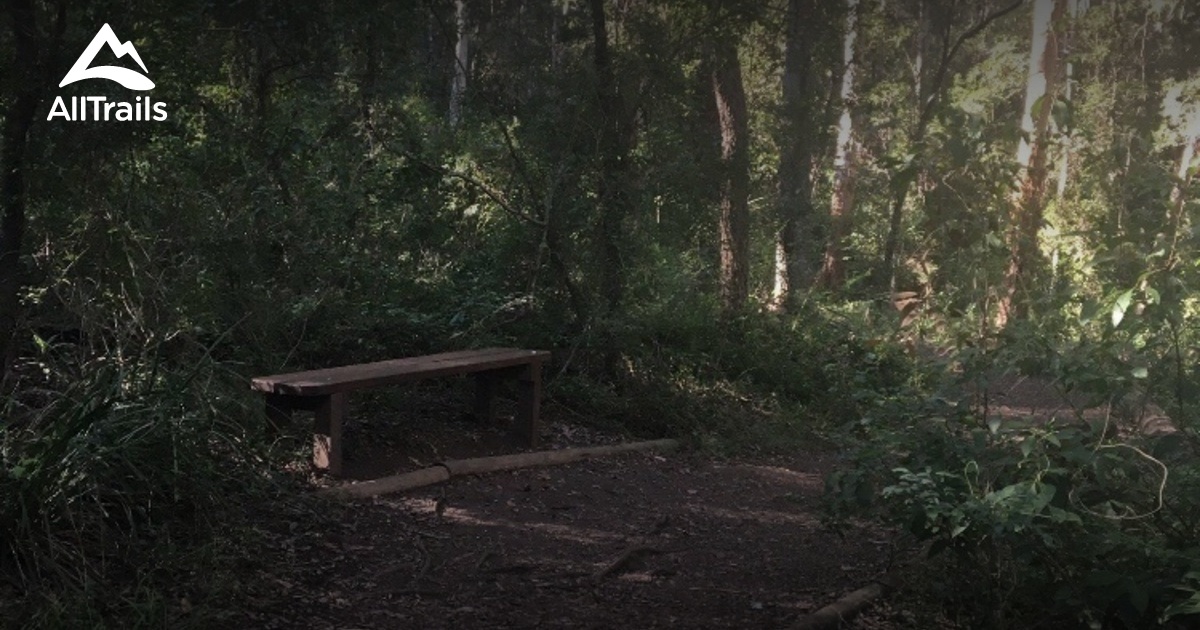 Best Trails in Cumberland State Forest - New South Wales, Australia ...