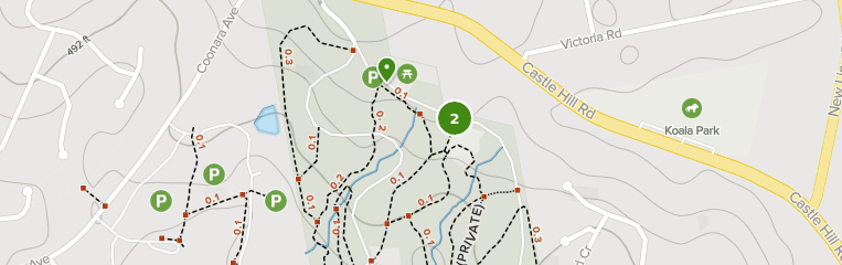 Best Trails in Cumberland State Forest - New South Wales, Australia ...