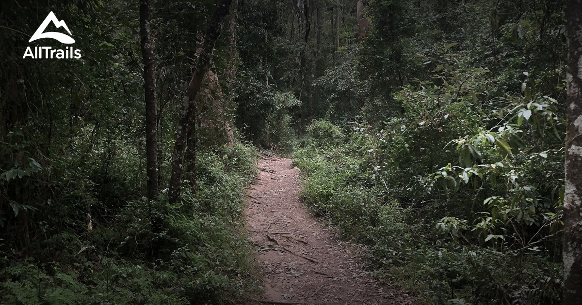 Cumberland State Forest: de beste routes om te wandelen | AllTrails