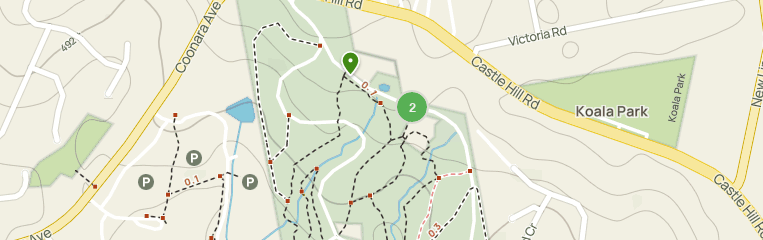 Best Hikes and Trails in Cumberland State Forest | AllTrails