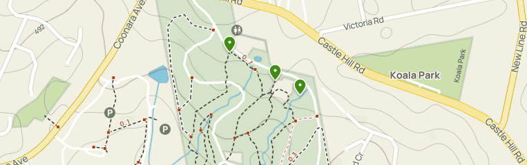 Best Hikes and Trails in Cumberland State Forest | AllTrails