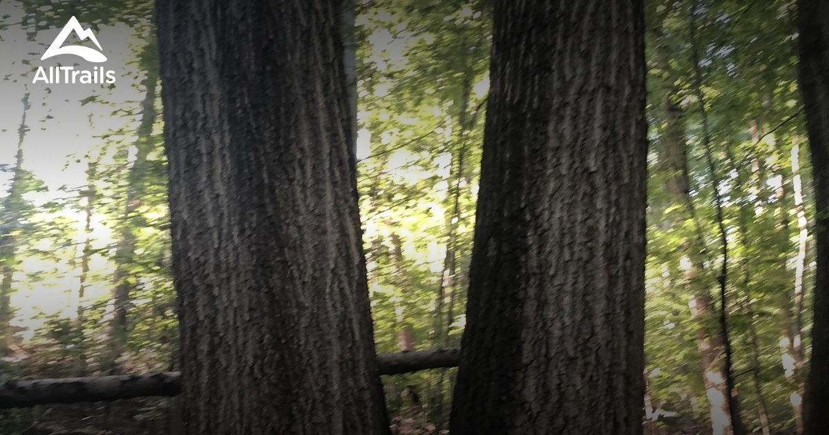 Best hikes and trails in Ashland Nature Center | AllTrails