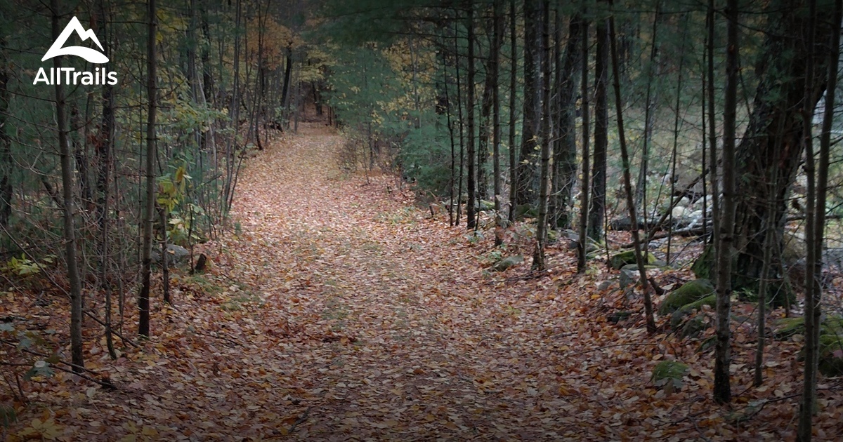 Best hikes and trails in Wayside Forest | AllTrails