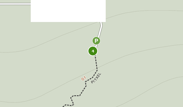 Best Trails in Chilliwack Community Forest - British Columbia, Canada ...