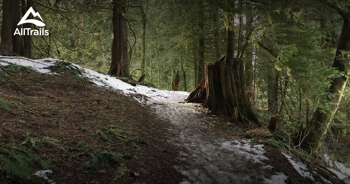 Best forest trails in Chilliwack Community Forest | AllTrails