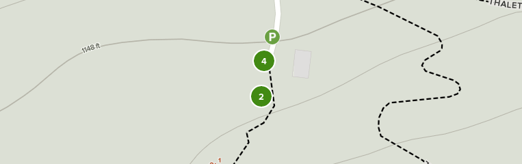 Best trails in Chilliwack Community Forest, British Columbia, Canada ...