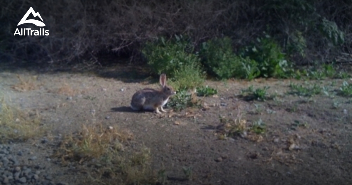 Best Trails in Merced National Wildlife Refuge - California | AllTrails