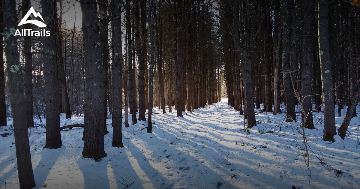 Best hikes and trails in Otter Brook Preserve Trail | AllTrails