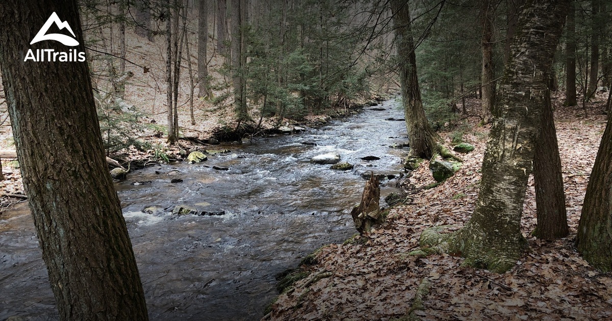 Best hikes and trails in Jabish Brook Conservation Area | AllTrails