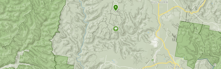 Best Hikes and Trails in McPherson State Forest | AllTrails