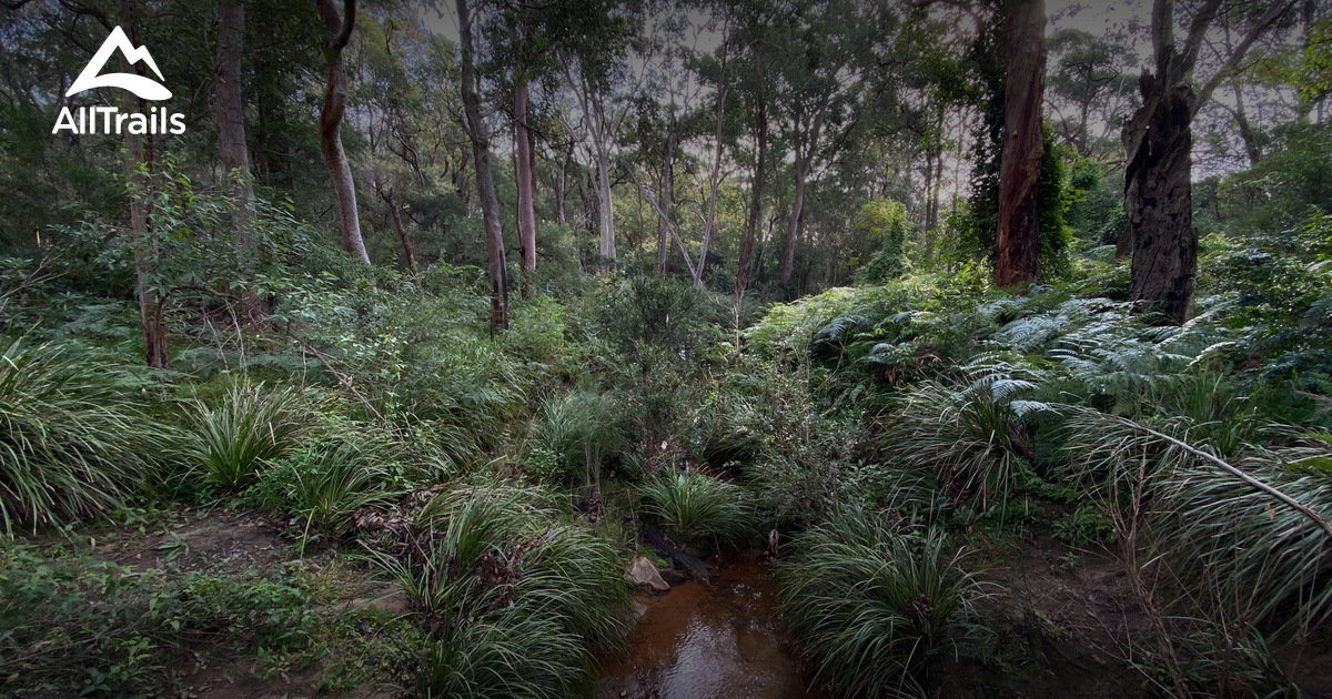 Best walking trails in Fred Caterson Reserve | AllTrails