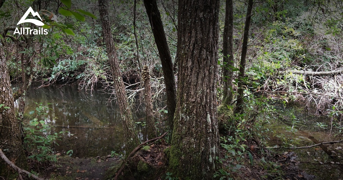 Best hikes and trails in Shealy's Pond Heritage Preserve | AllTrails