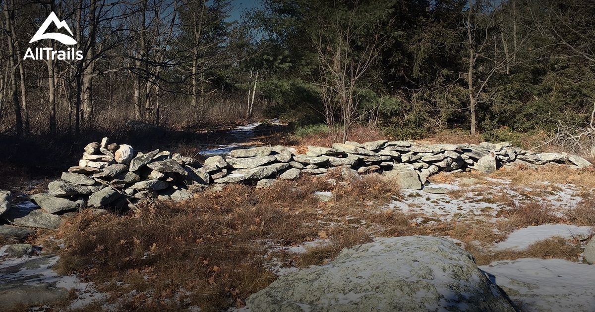 Best hikes and trails in Susan B. Minns Sanctuary | AllTrails