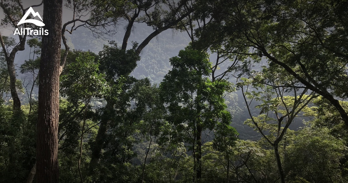 Best hikes and trails in Henrique Lage Park | AllTrails