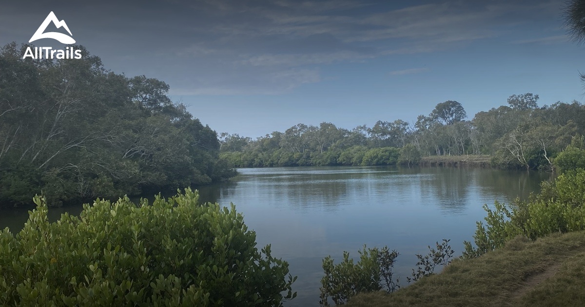 Best hikes and trails in Tingalpa Creek Reserve | AllTrails