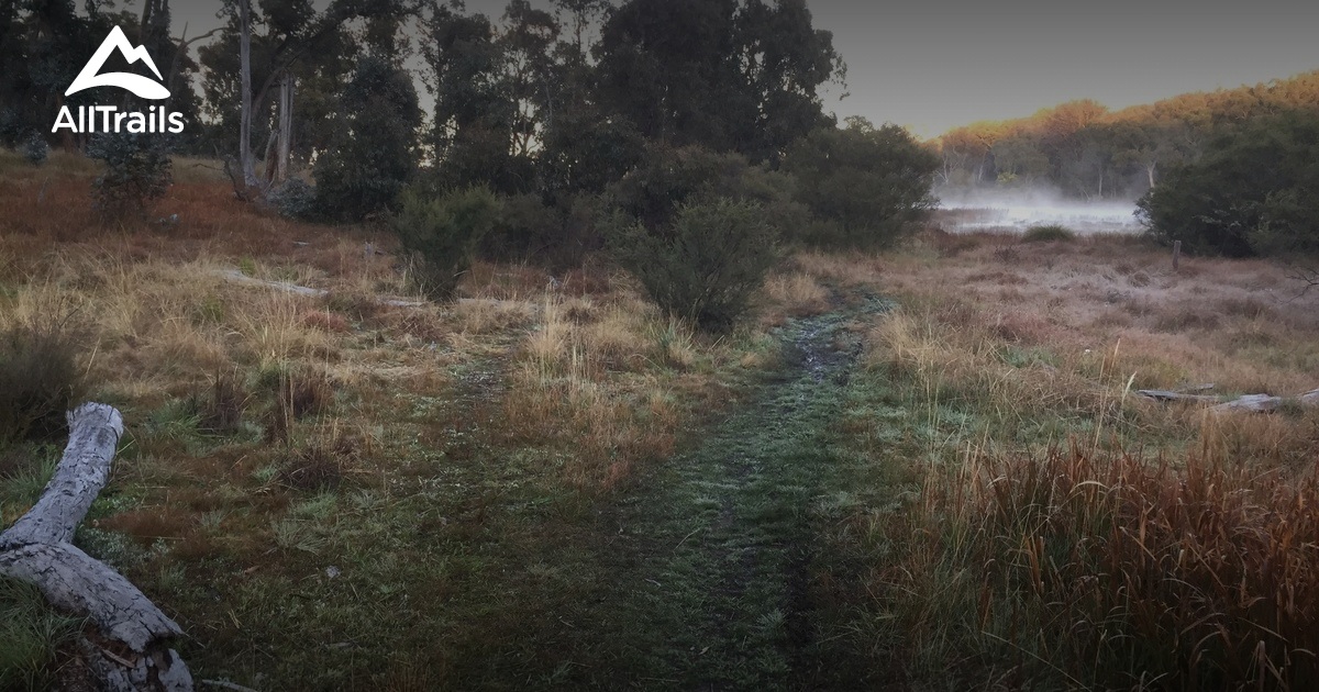 Best hikes and trails in Dumaresq Reservoir Recreation Area | AllTrails