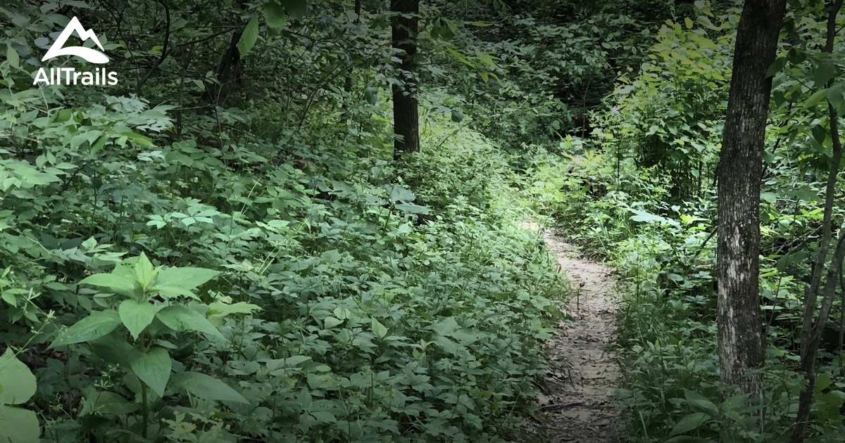 Best hikes and trails in Spring Lake Park | AllTrails