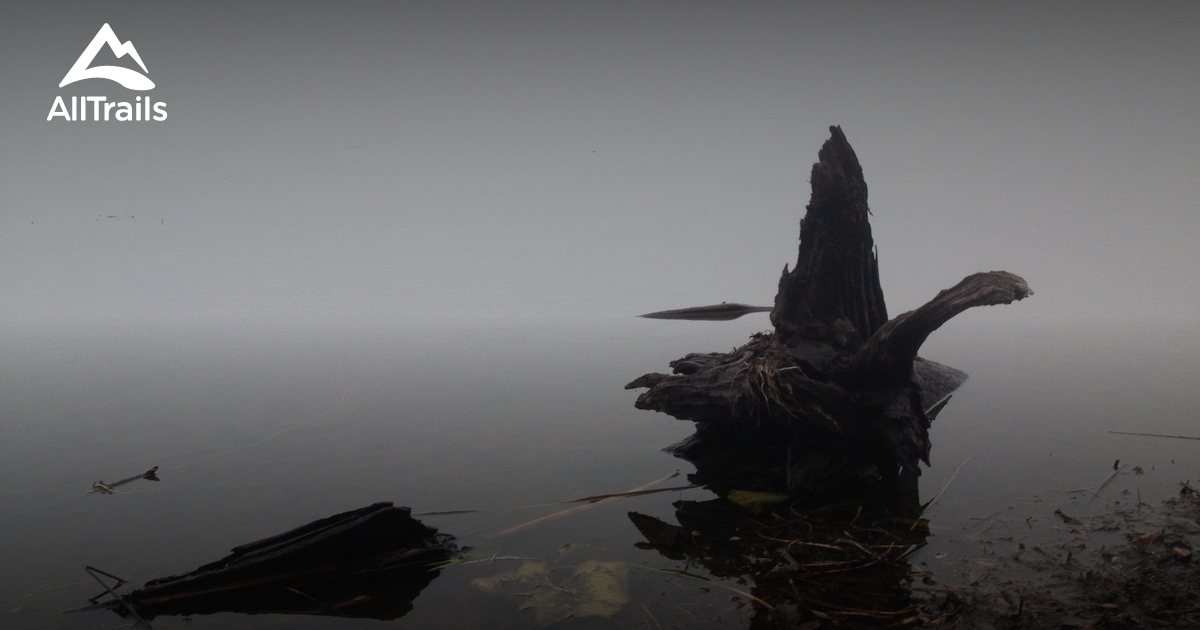 Best hikes and trails in Bannister Lake Conservation Area | AllTrails
