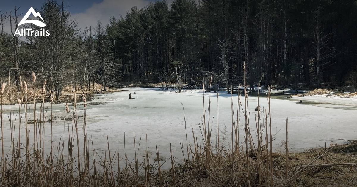 Best hikes and trails in Landon Bay Center | AllTrails