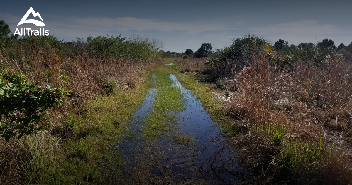 Best hikes and trails in Wolf Branch Nature Preserve | AllTrails