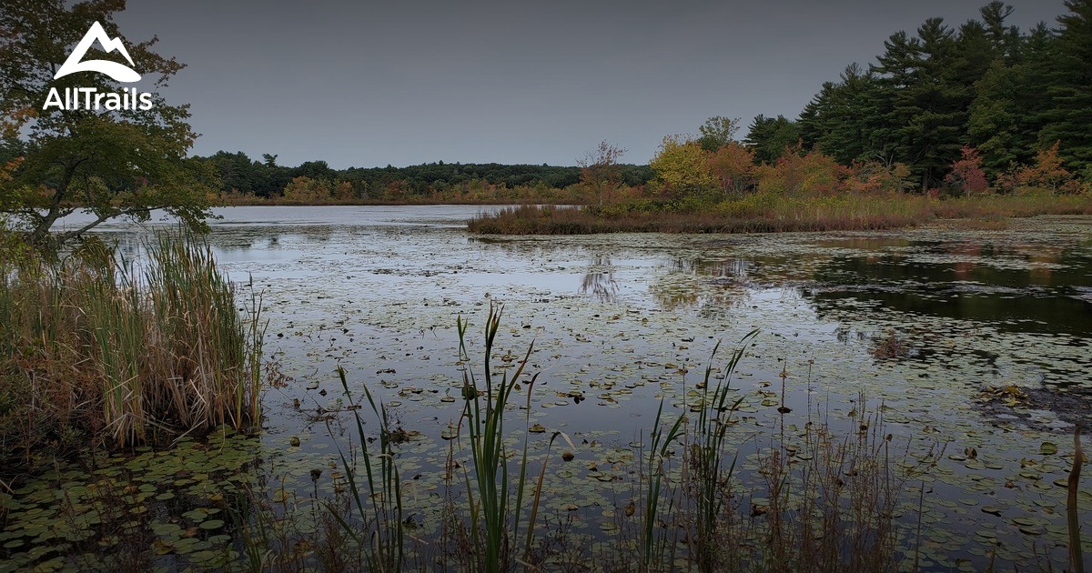 Best hikes and trails in Goldsmith Reservation | AllTrails