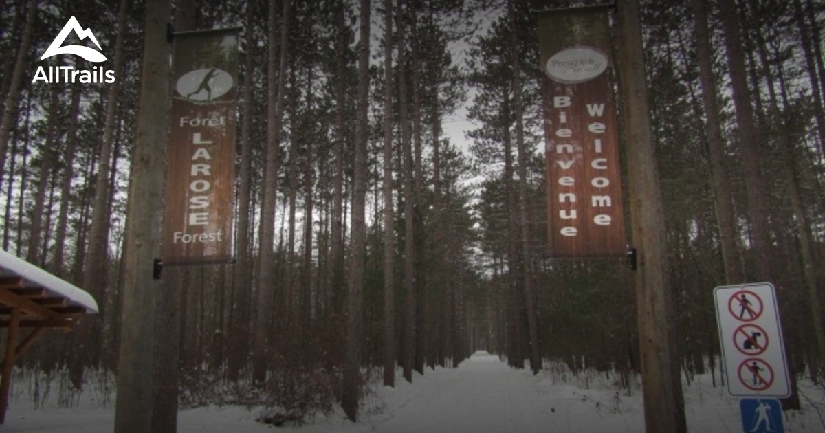 Best Trails in Larose Forest - Ontario, Canada | AllTrails