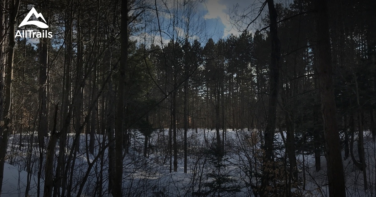 10 Best hikes and trails in Larose Forest | AllTrails